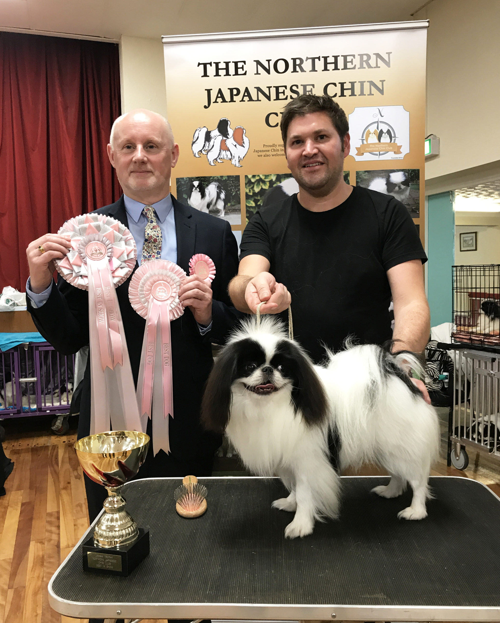 2019 Open Show – October – Northern Japanese Chin Club